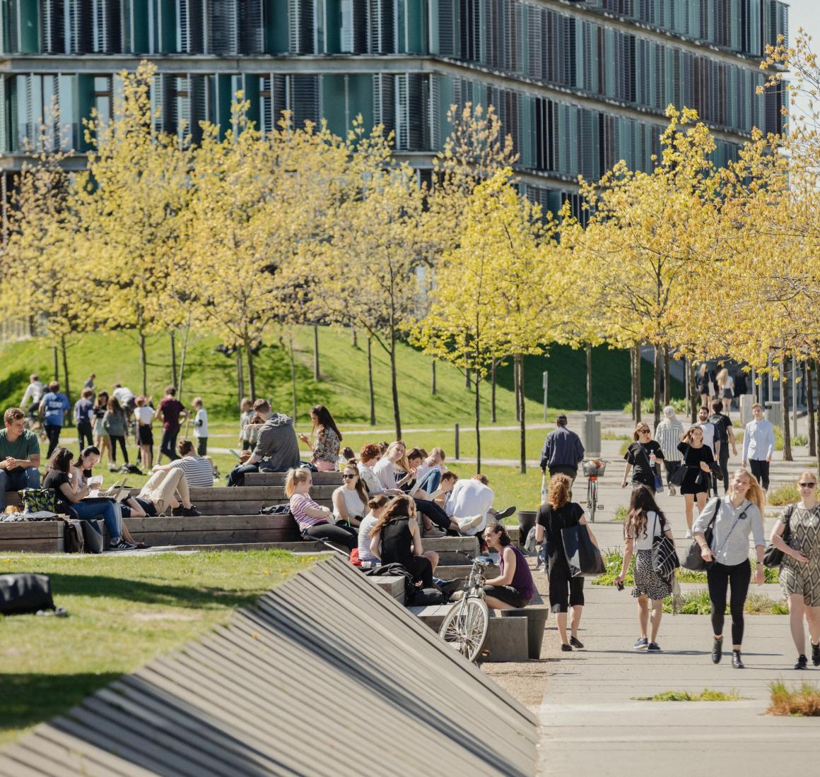 HA almen erhvervsøkonomi | CBS - Copenhagen Business School
